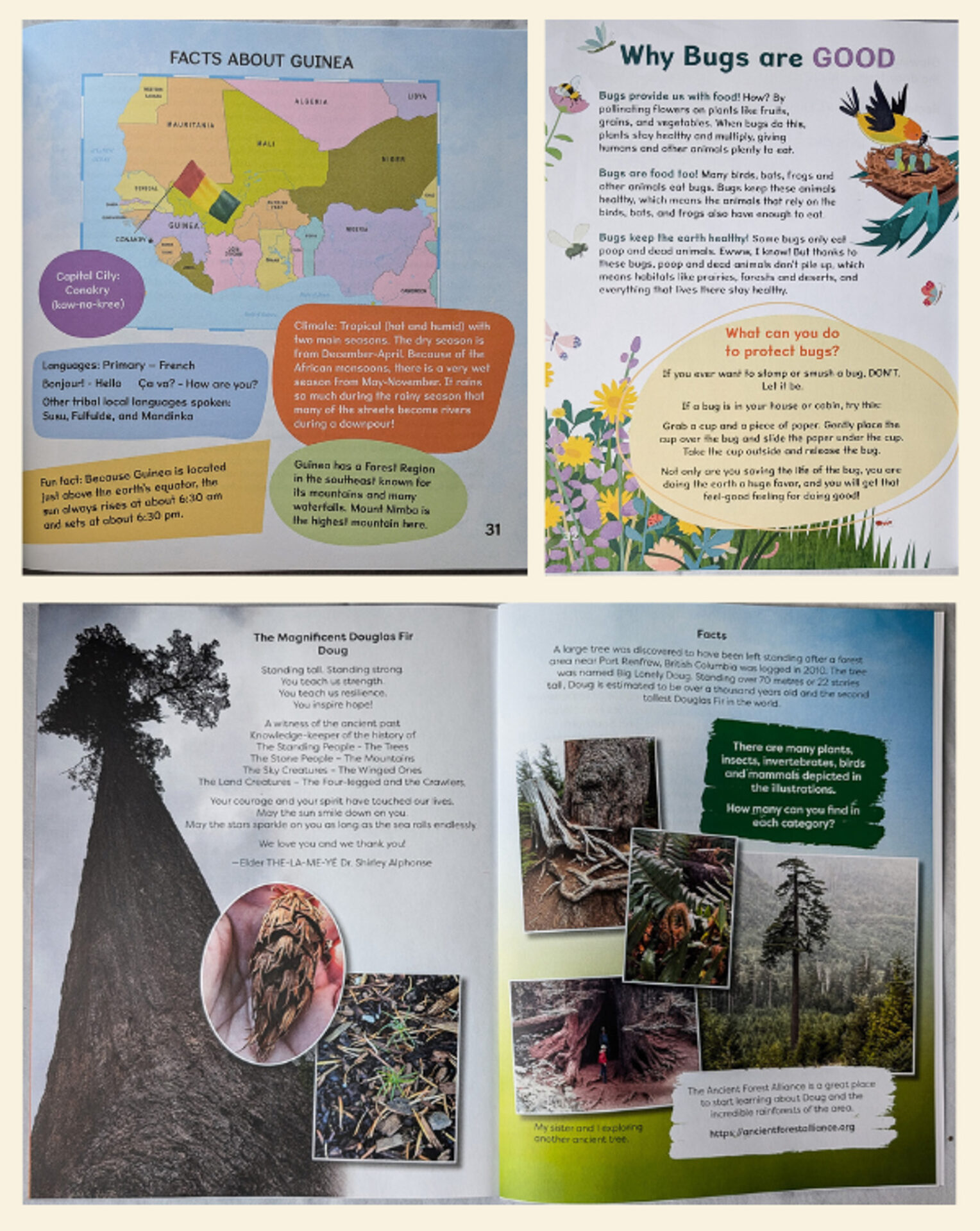 Back Matter in a Picture Book – Farials Books